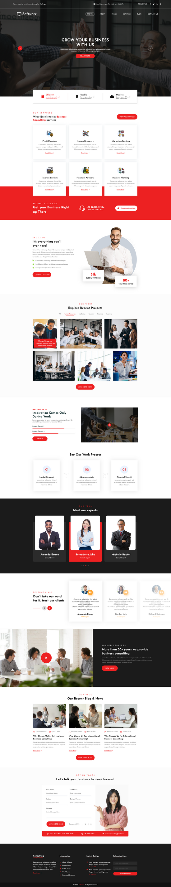 Software WordPress Theme for premium features and secure clean code